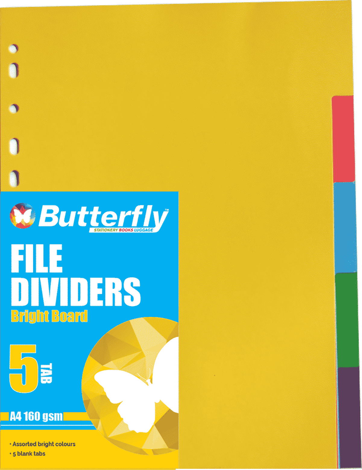 A4 BRIGHT/BOARD DIVIDER 5TAB Butterfly - Park Avenue Stationers