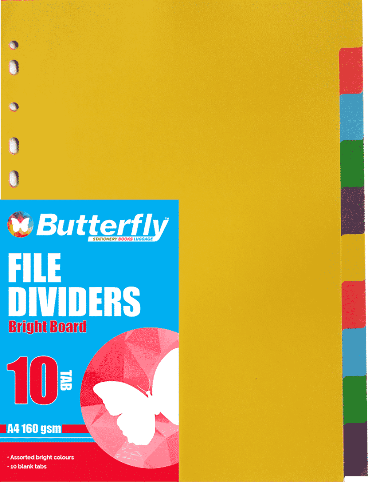 A4 BRIGHT/BOARD DIVIDER 10 TAB Butterfly - Park Avenue Stationers