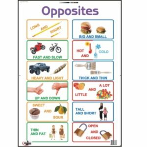 CHART OPPOSITES - Park Avenue Stationers