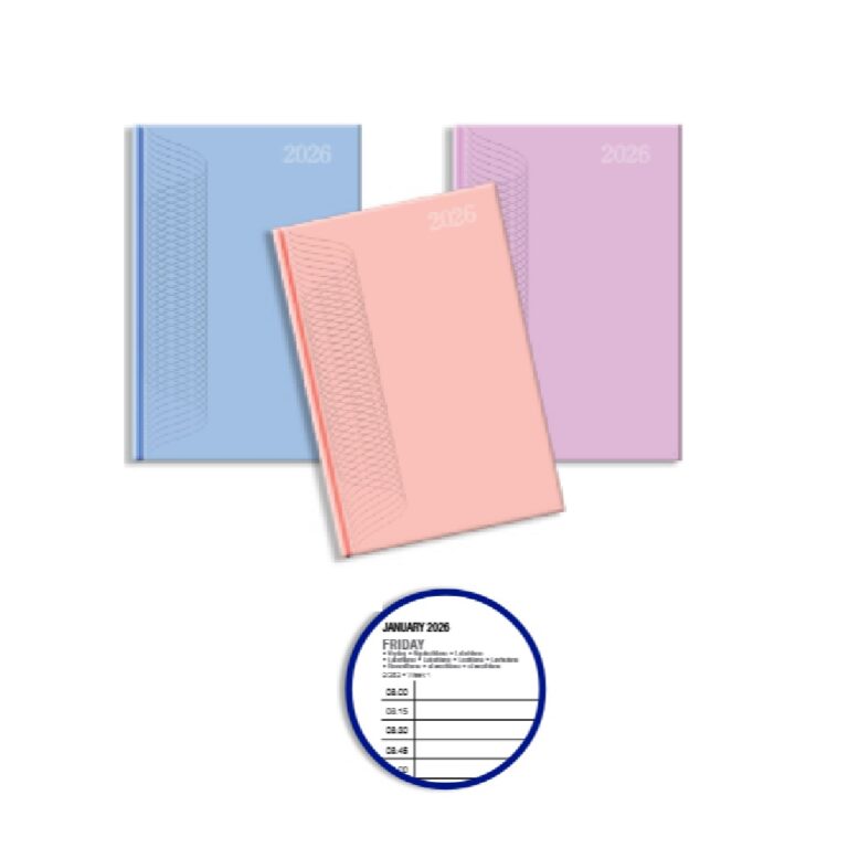 A5 Page a Day Diary Matt Lam 2026 Blue - Park Avenue Stationers